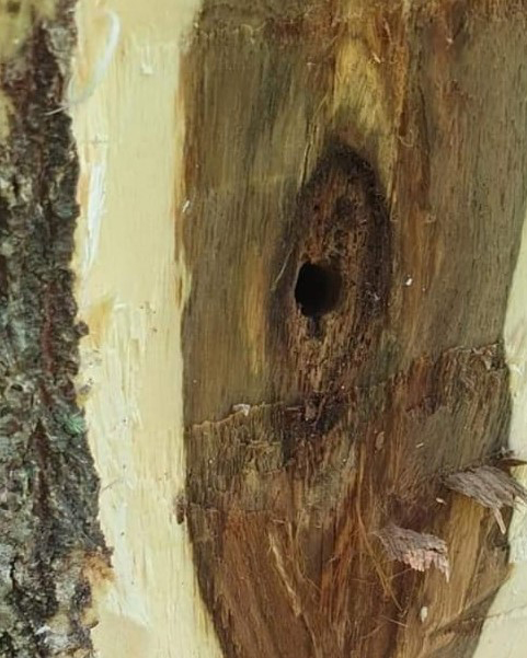 Gallery | Ceylon Evergreen Plantation